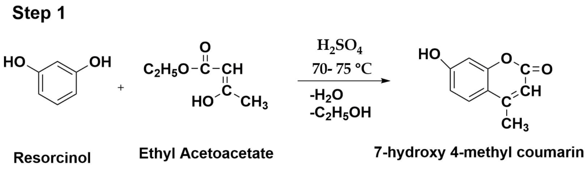 Preparation of 7-acetoxy 4-methyl coumarin from resorcinol — ChemPedia